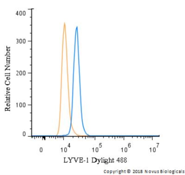 LYVE-1 Antibody, DyLight 488 0.1mL; DyLight 488:Antibodies, Polyclonal ...